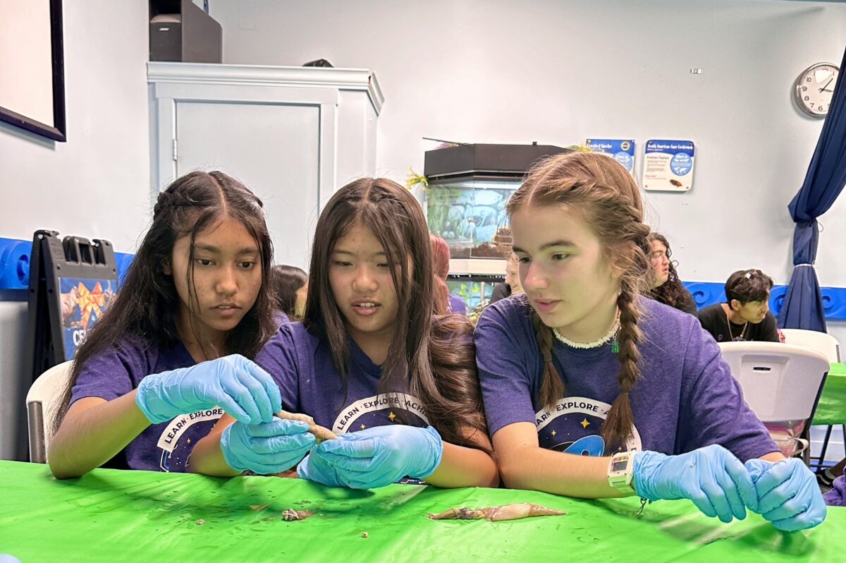 Me, Myself, as Mommy: WSU PREP provides youth with academic, social opportunities | News, Sports ...